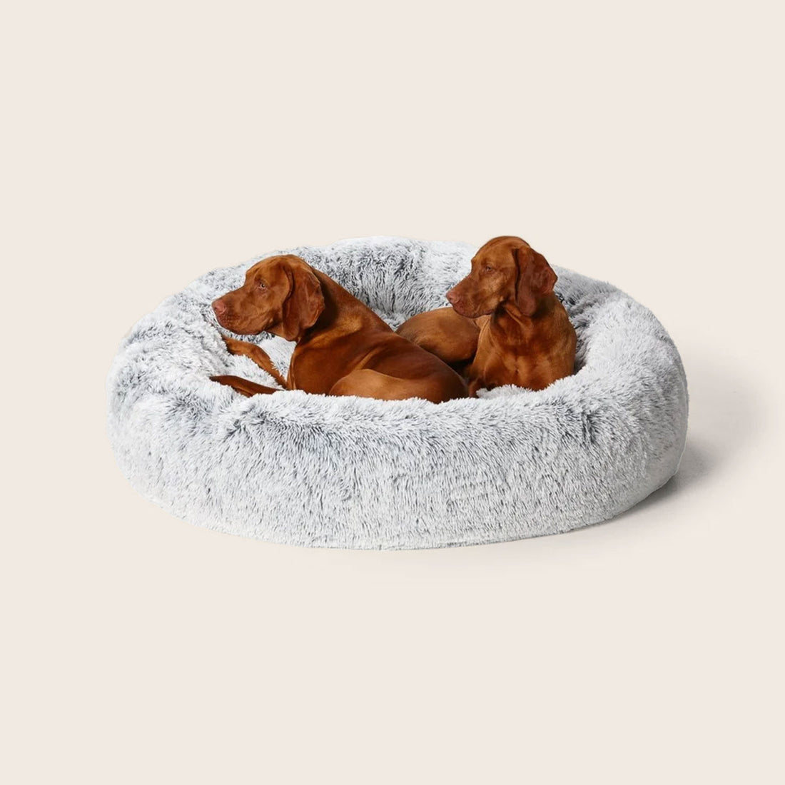 Calming Cuddler Silver Fox XXL