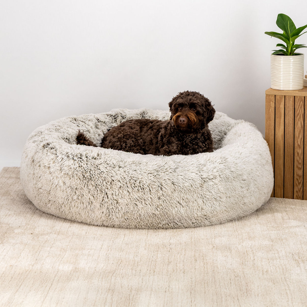 Snooza Calming Cuddler Dog Bed | The Original and Best | Buy Direct