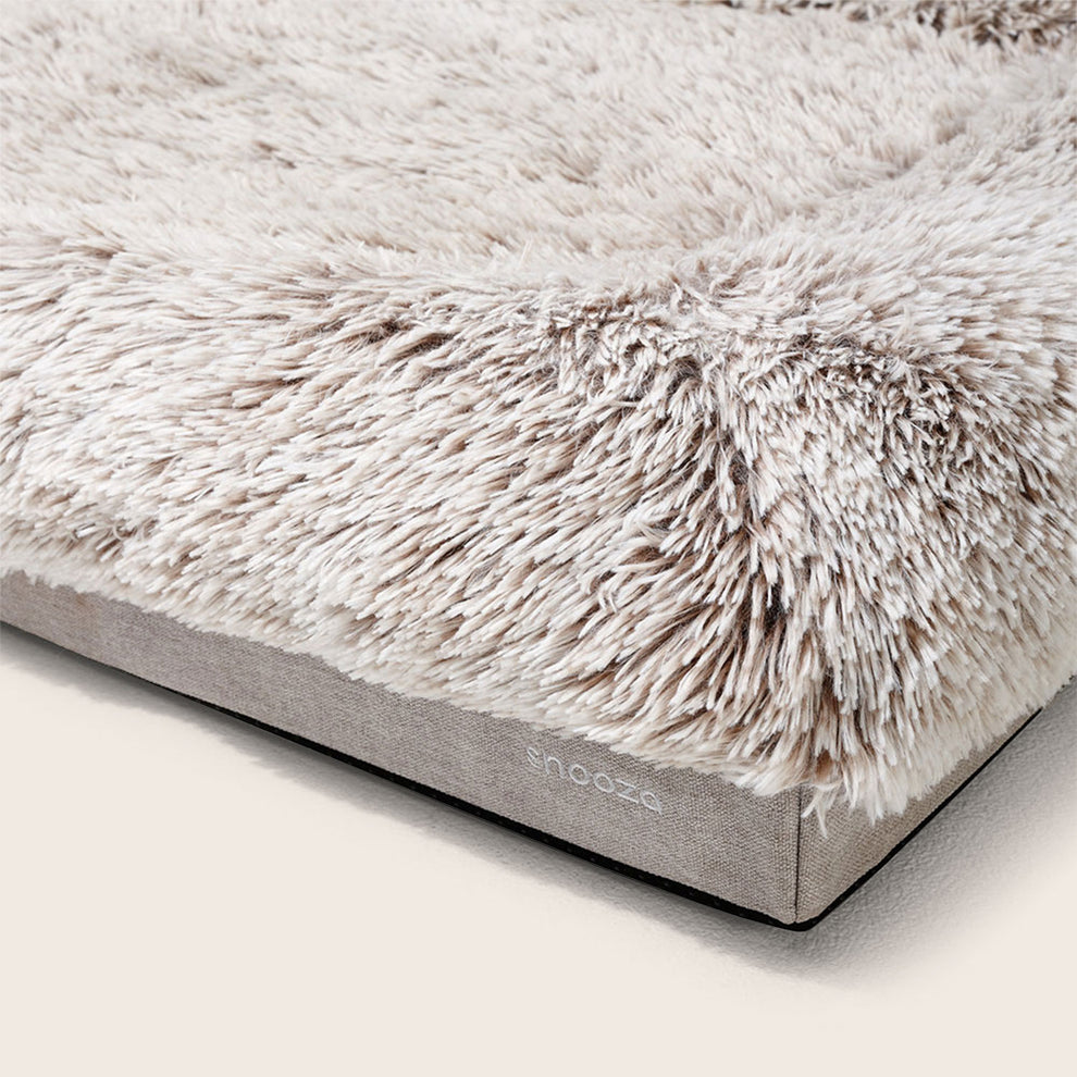 Snooza Ultra Calming Comfort Dog Lounge | Buy Direct