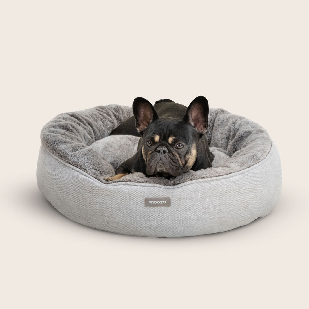 Soothing & Calming Cuddler Beds for Dogs | Buy Direct from Snooza Australia
