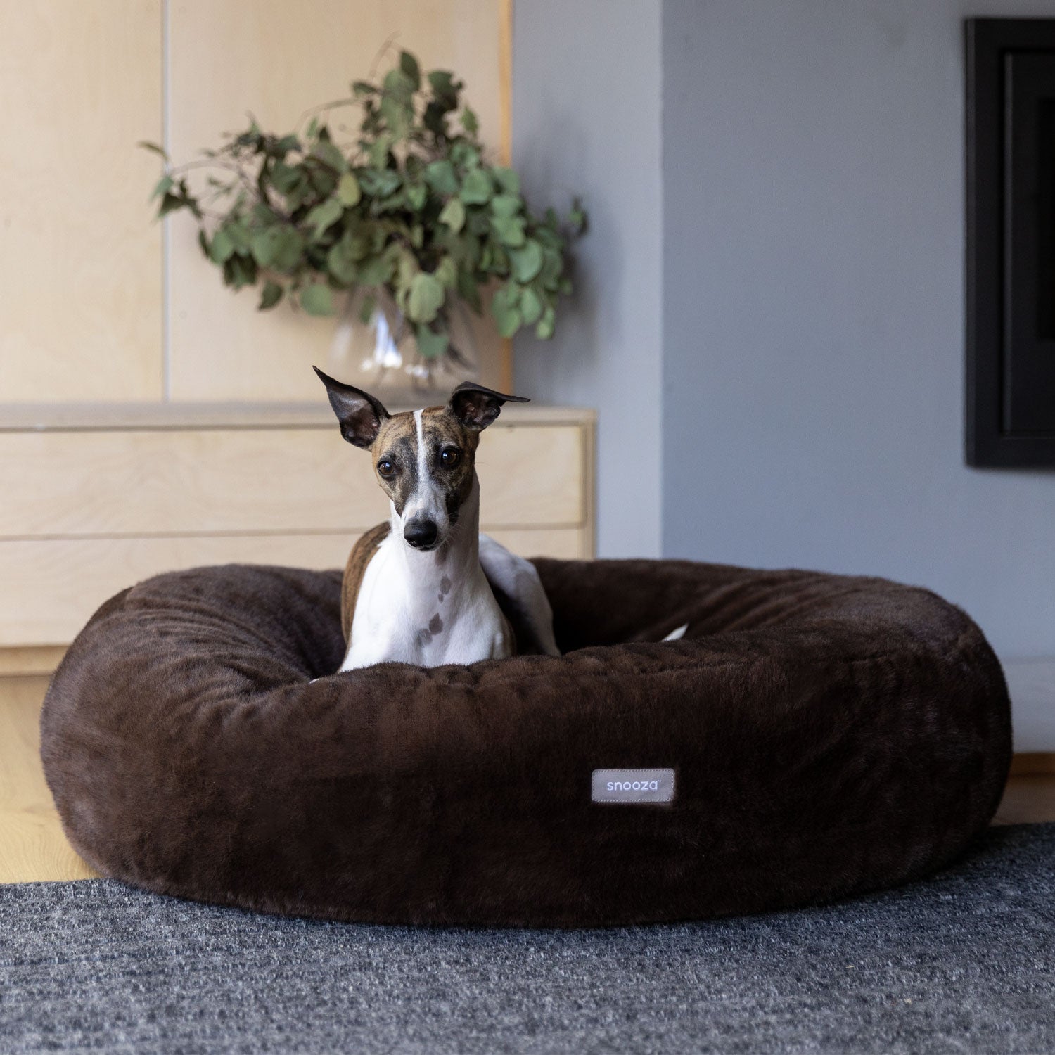 Dream Cloud Luxe Dog Bed | Snooza Pet Products