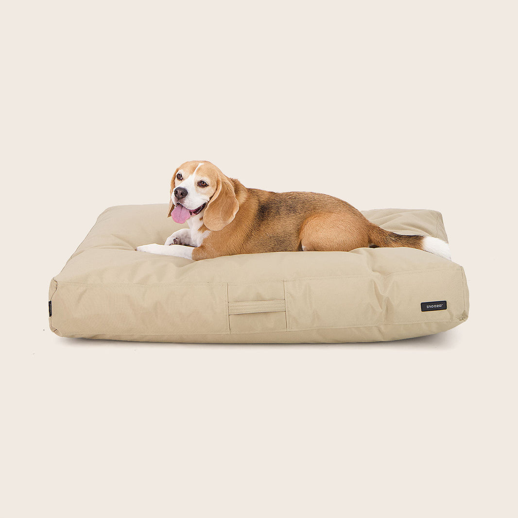 Dog Beds from Snooza Australia | Australia's Best Dog Beds