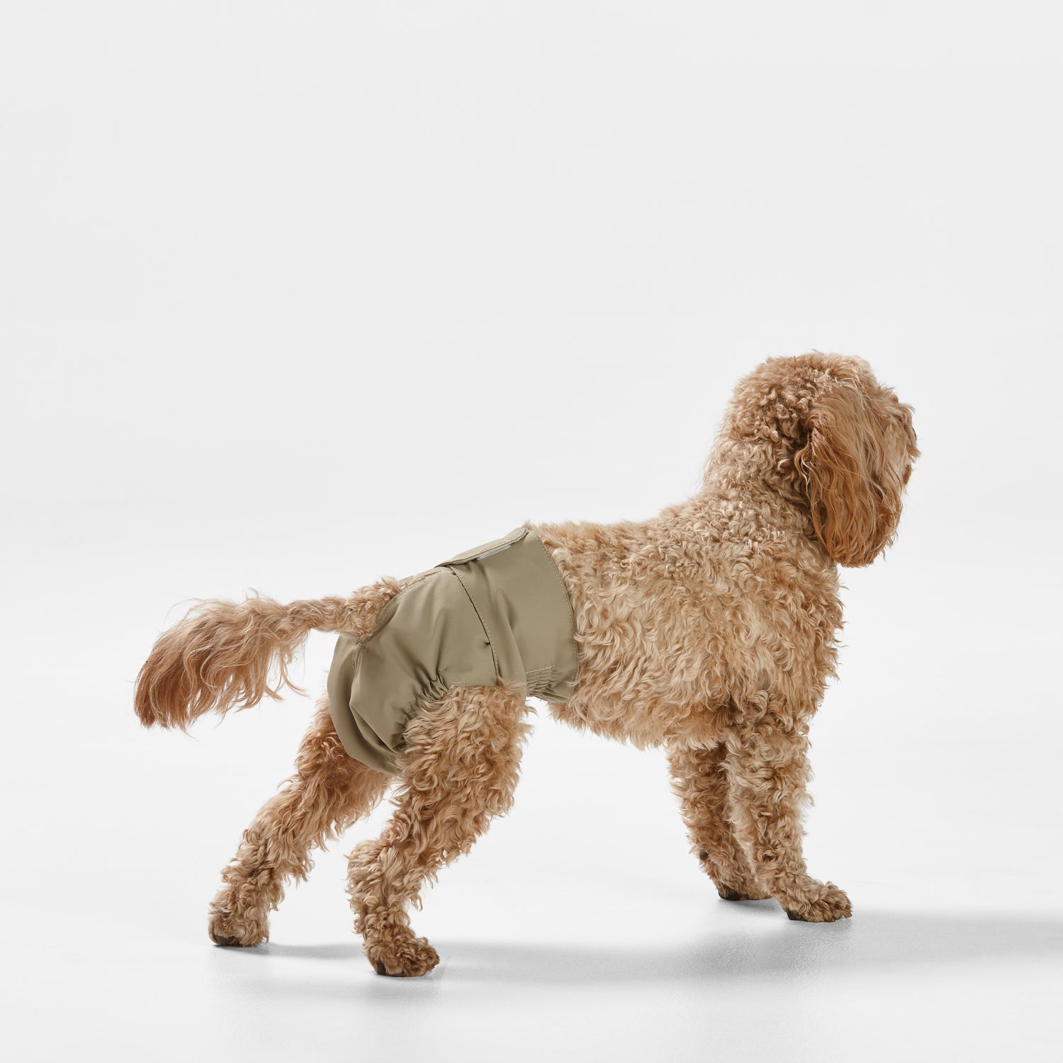 Washable Dog Nappy - Twin Pack for Female Dogs | Buy Direct at Snnoza