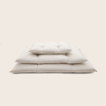 Pet Futons – Stylish & Comfy Futon Dog Bed Designs