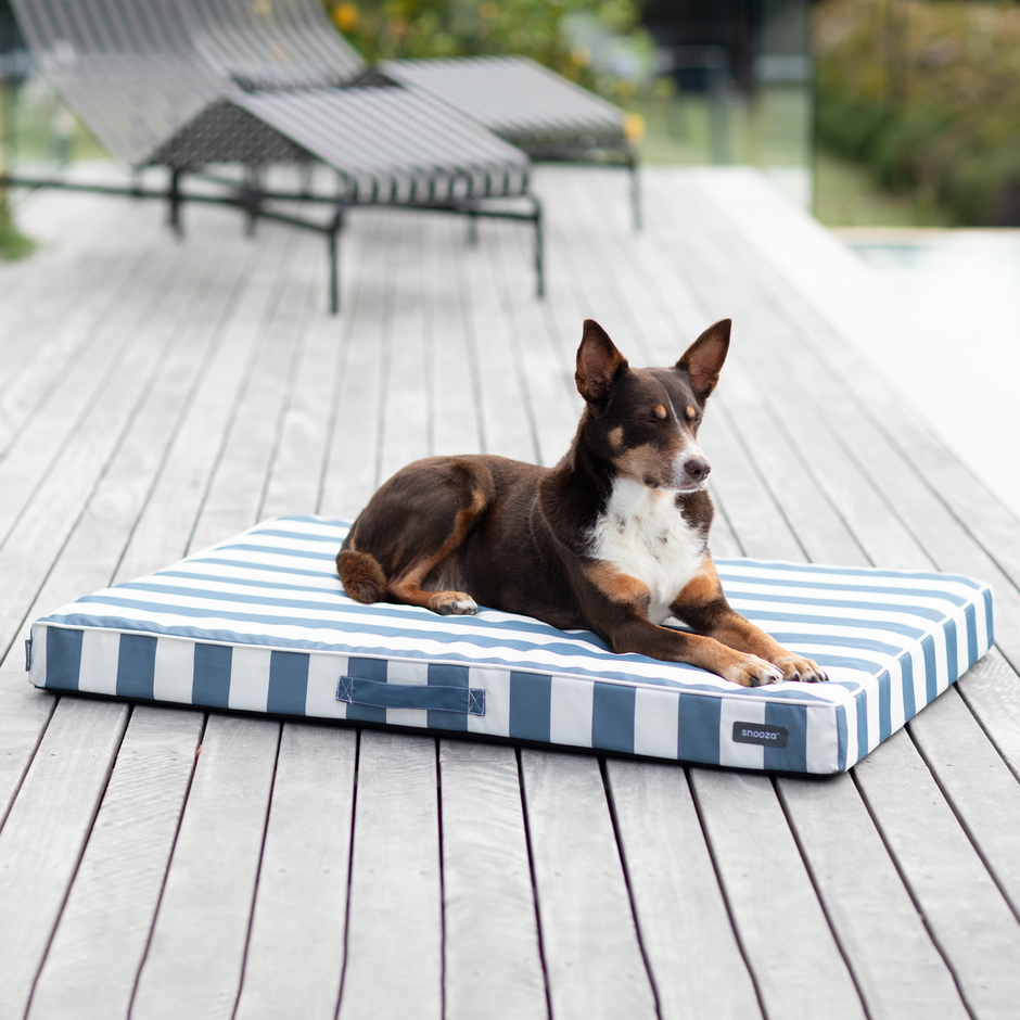 Snooza: Australia's Favourite Dog Beds Since 1989