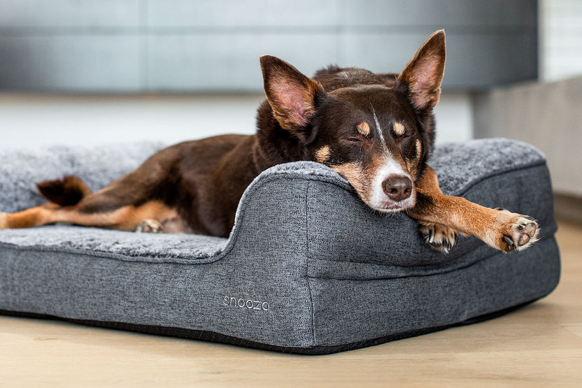 Snooza Ortho Dream Sofa Foam Base | Buy Direct