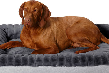Super Rest Dog Bed | Buy Direct at Snooza Dog Beds