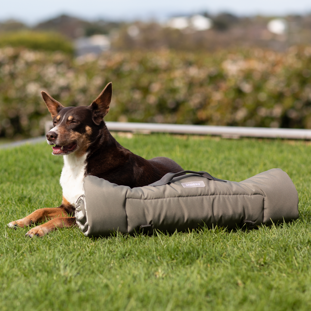 New Products from Snooza Australia