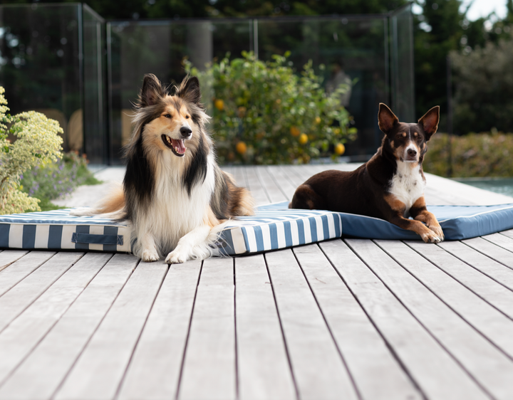 New Products from Snooza Australia