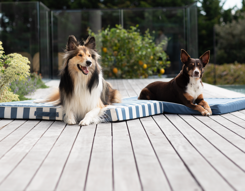 New Products from Snooza Australia