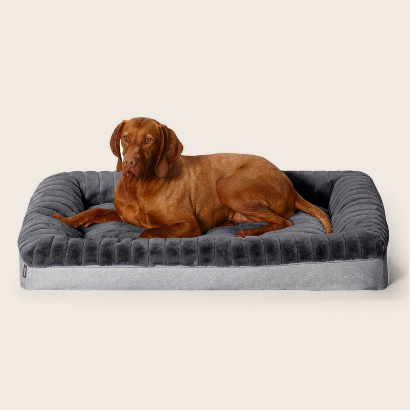 Super Rest Dog Bed | Buy Direct at Snooza Dog Beds