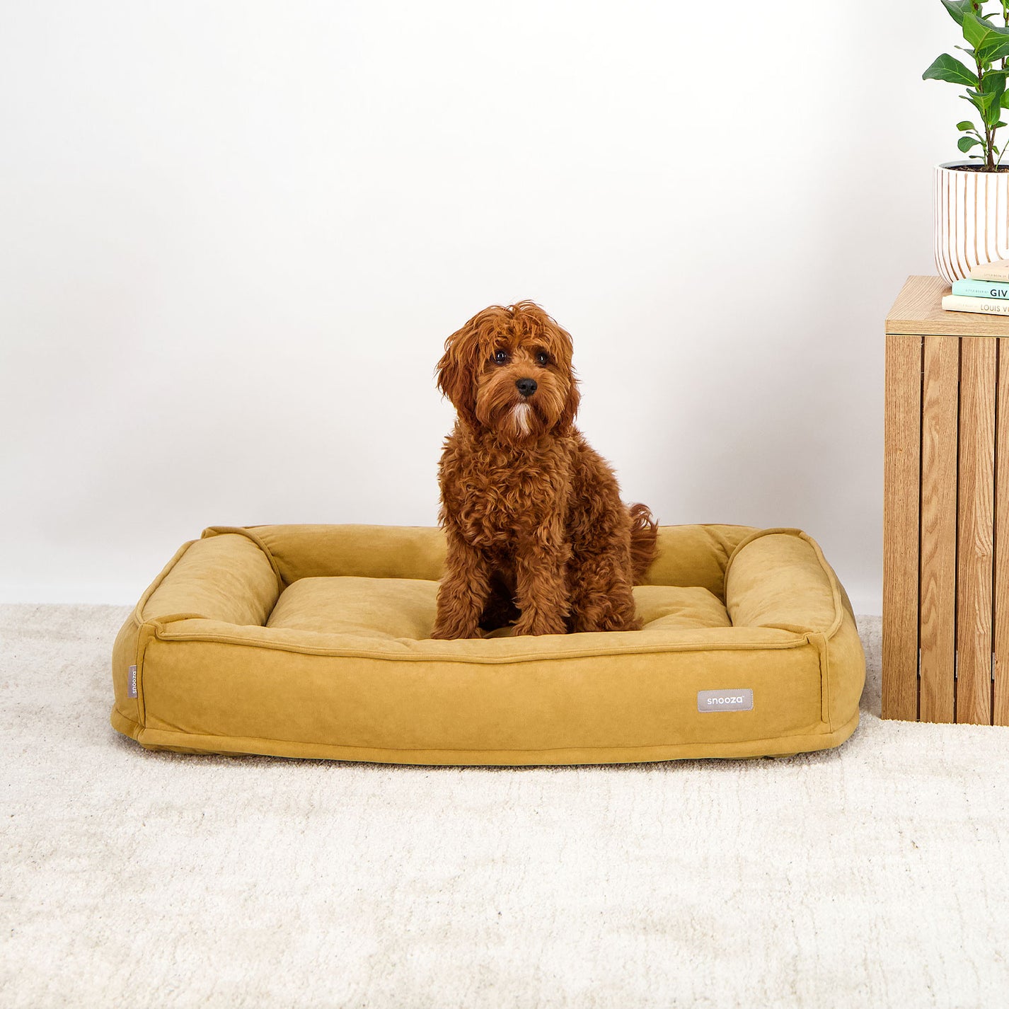 The Snug Dog Bed | Shop Snooza Pet Products