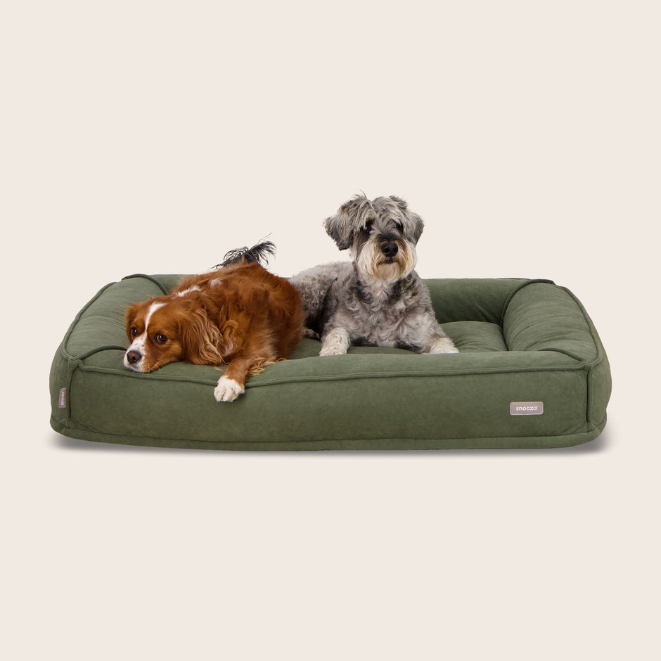 Indoor Dog Beds - Soft & Comfortable Indoor Dog Beds for Sale