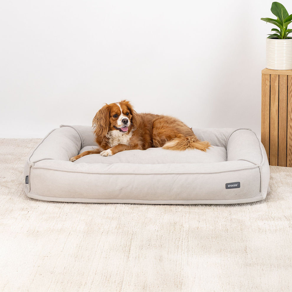 The Snug Dog Bed | Shop Snooza Pet Products