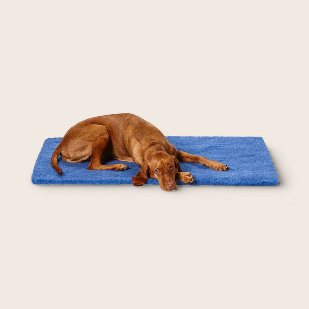 Snooza Stay Dry Mat | Buy Direct at Snooza