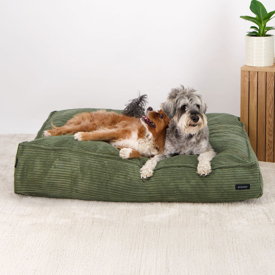 The Loft Dog Bed Cover | Snooza Pet Products