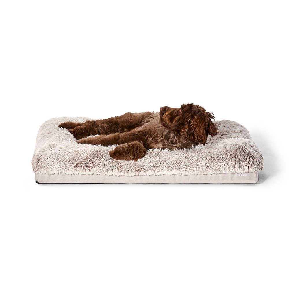 Snooza Ultra Calming Comfort Dog Lounge | Buy Direct