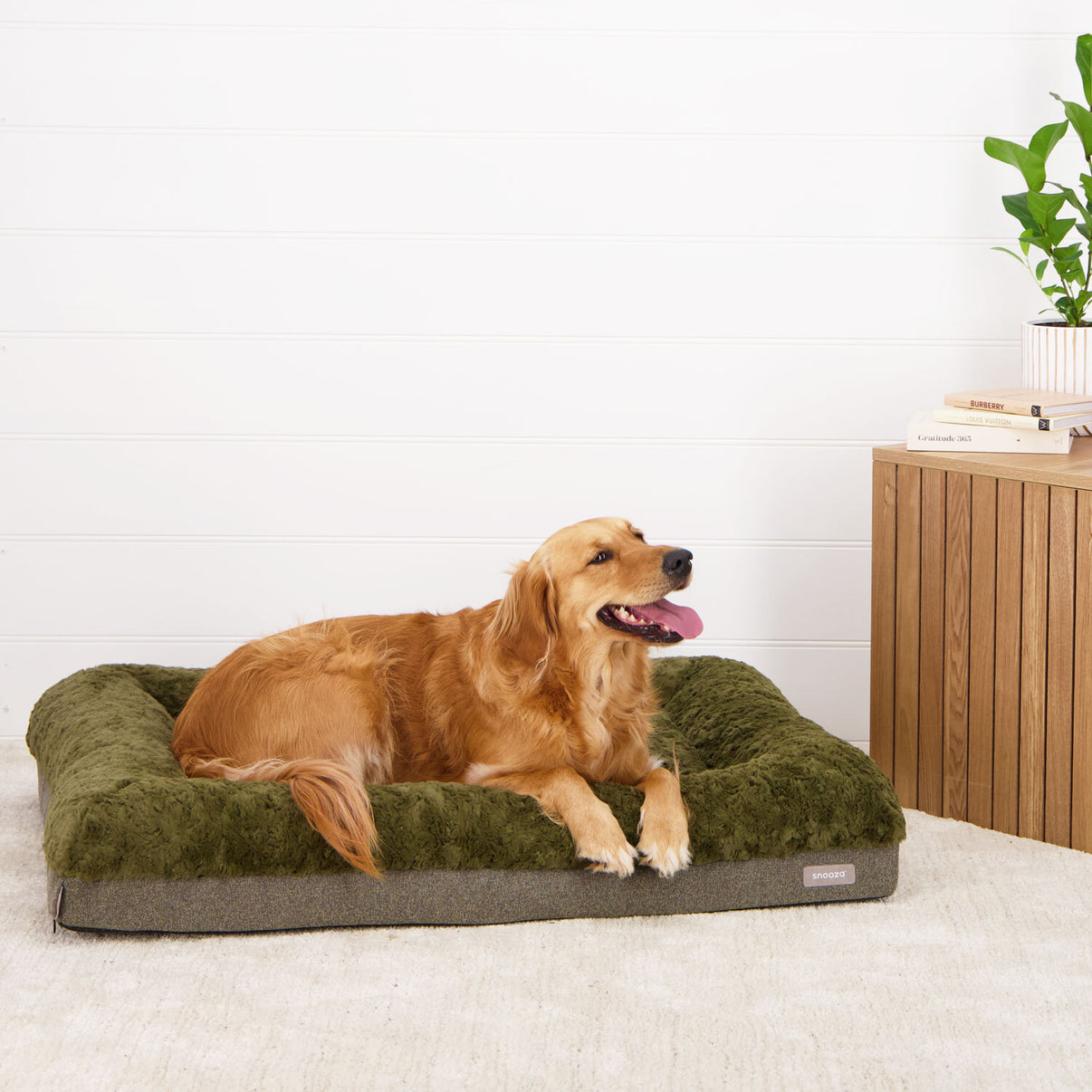 Snooza Ultra Comfort Dog Lounge | Buy Direct