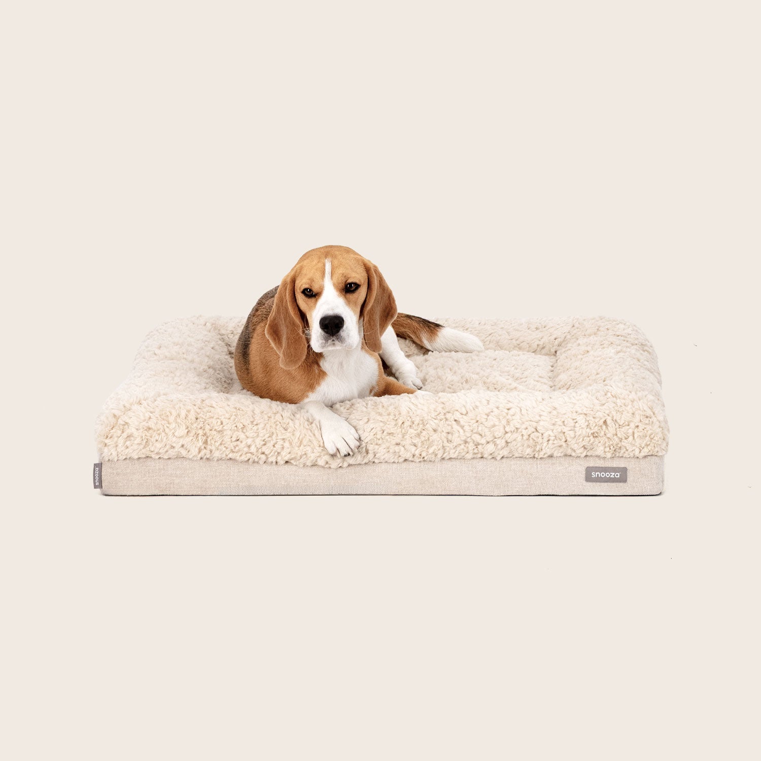 Snooza Ultra Comfort Dog Lounge | Buy Direct