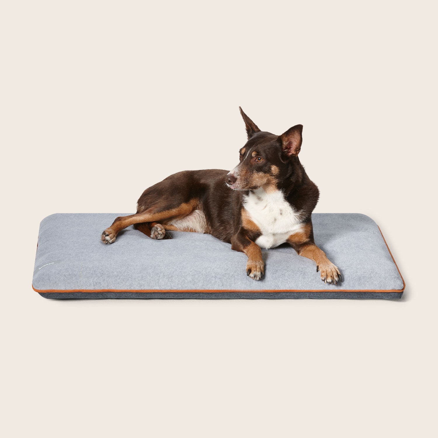 New Products from Snooza Australia