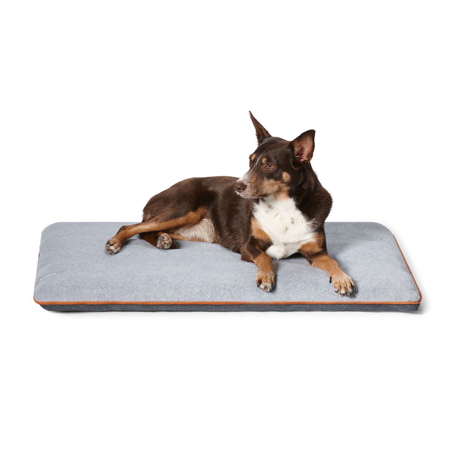 Snooza Ultra Multimat | Dog Mat for Crates | Snooza