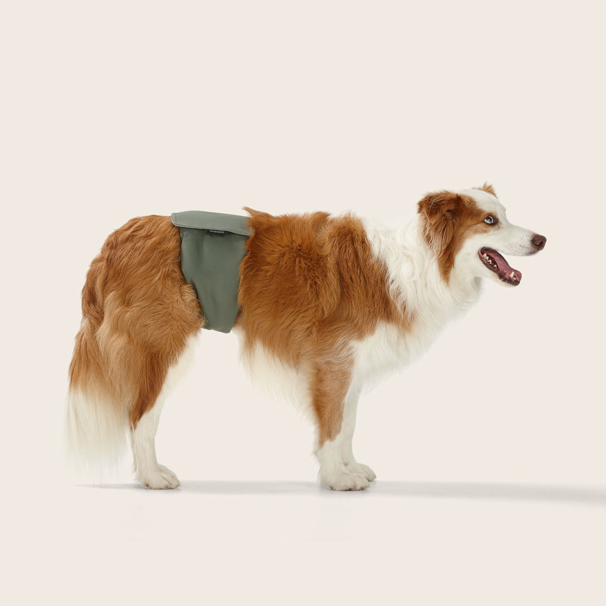 Washable Dog Nappy - Twin Pack for Female Dogs | Buy Direct at Snnoza
