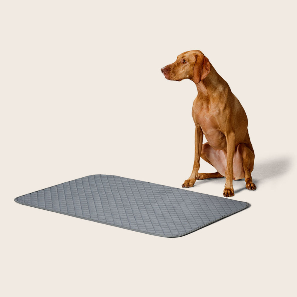 Snooza Washable Pee Pad for Pets | Pack of 2