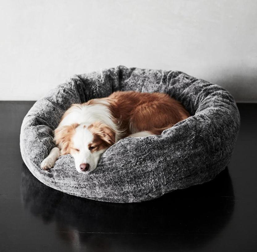 About Us – Snooza Pet Products