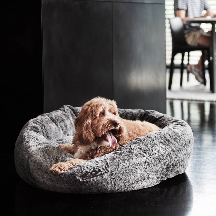 About Us – Snooza Pet Products