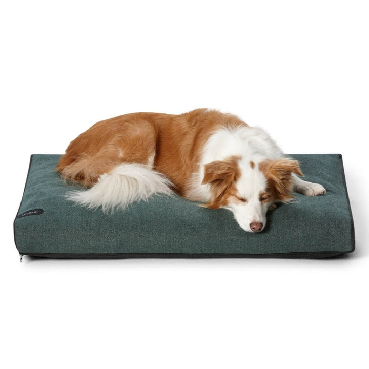 Snooza: Australia's Favourite Dog Beds Since 1989
