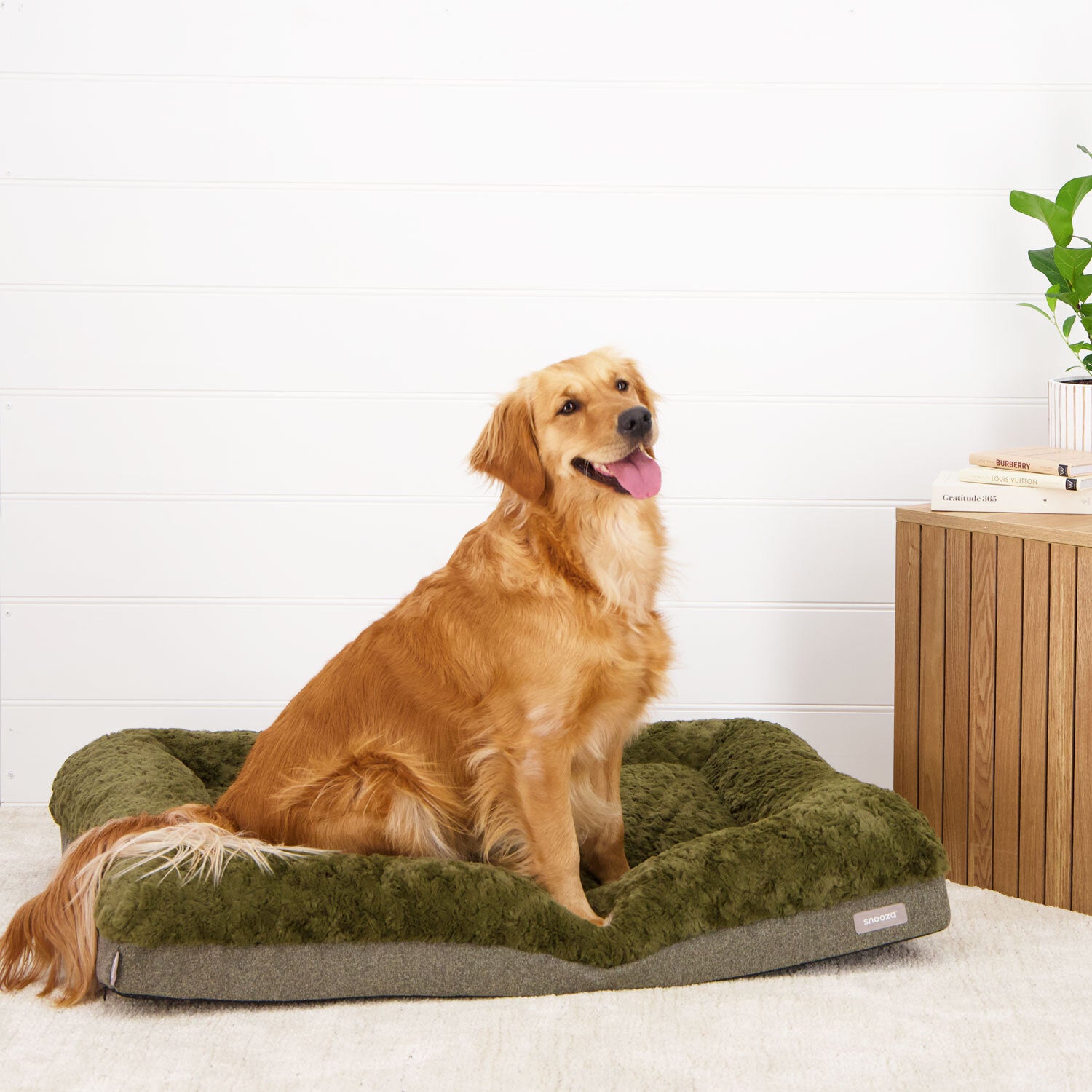 Snooza Ultra Comfort Dog Lounge | Buy Direct